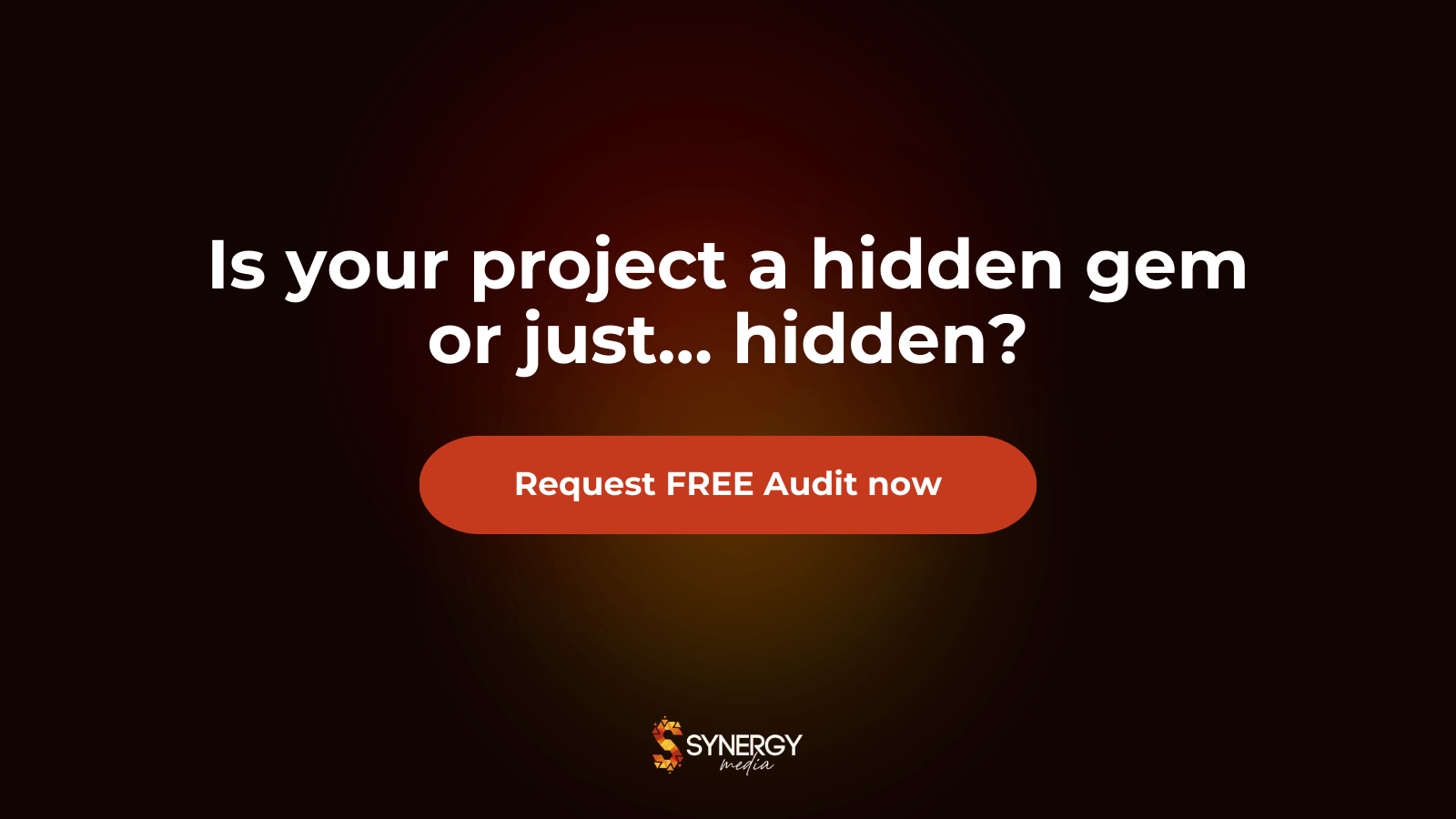 Audit - Synergy Media